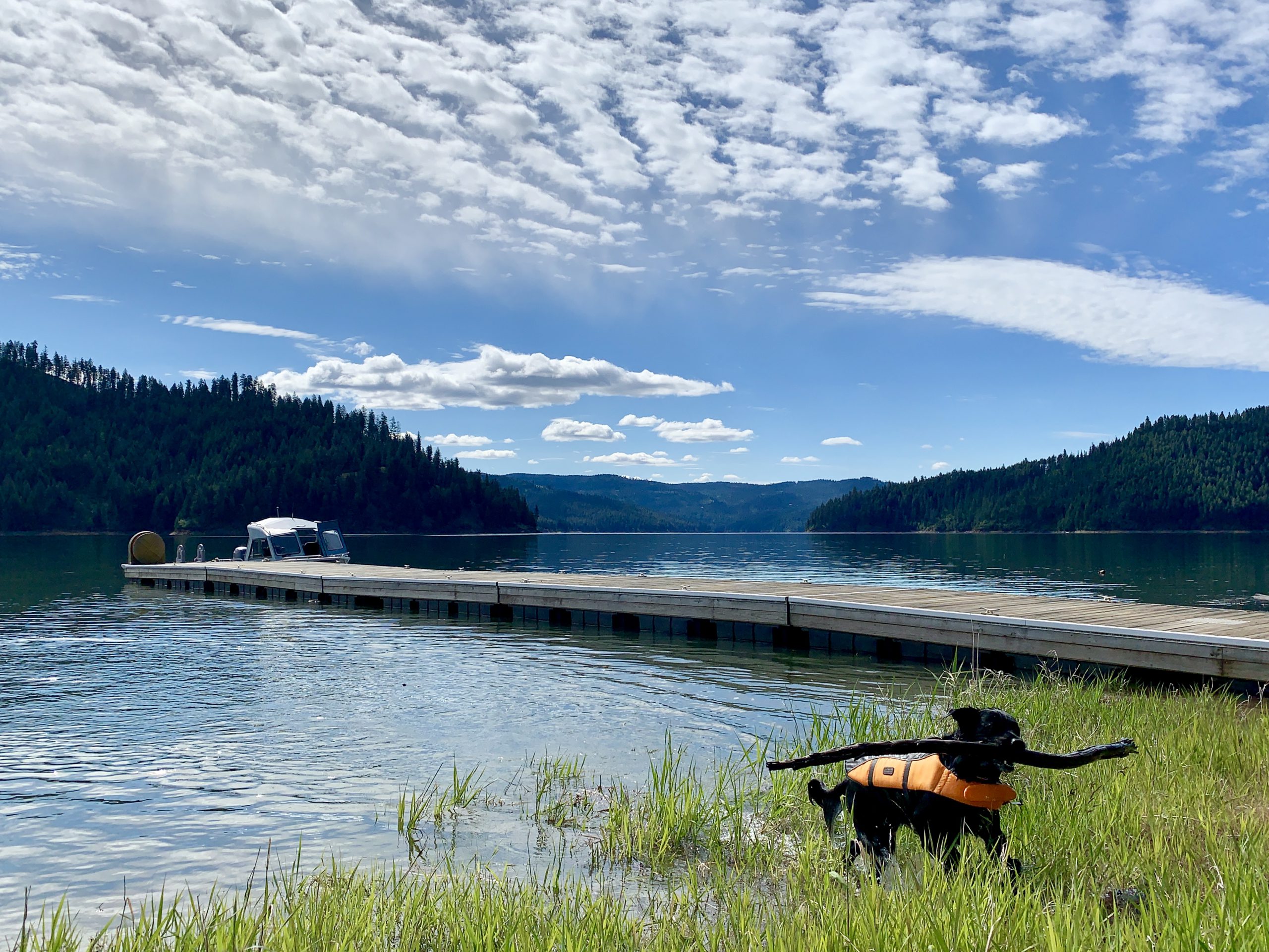 Dworshak State Park | Department of Parks and Recreation