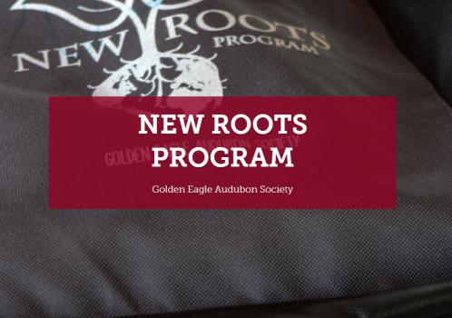 Blog | Department of Parks and Recreation