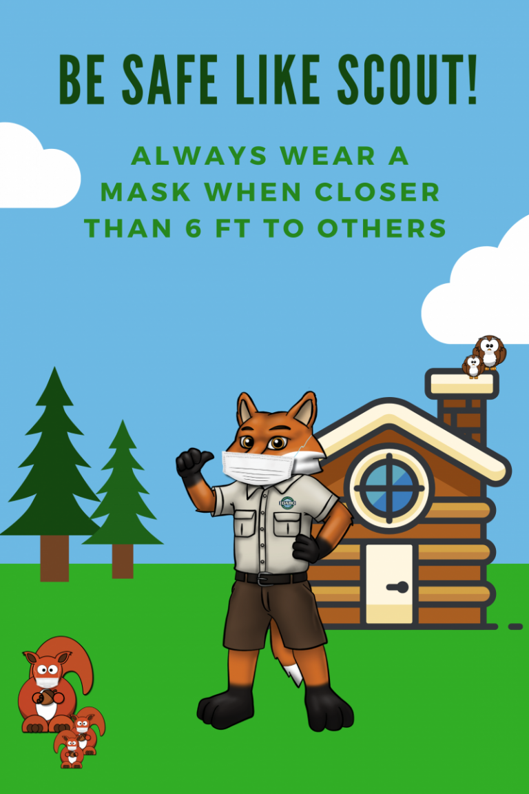 Junior Ranger | Department of Parks and Recreation